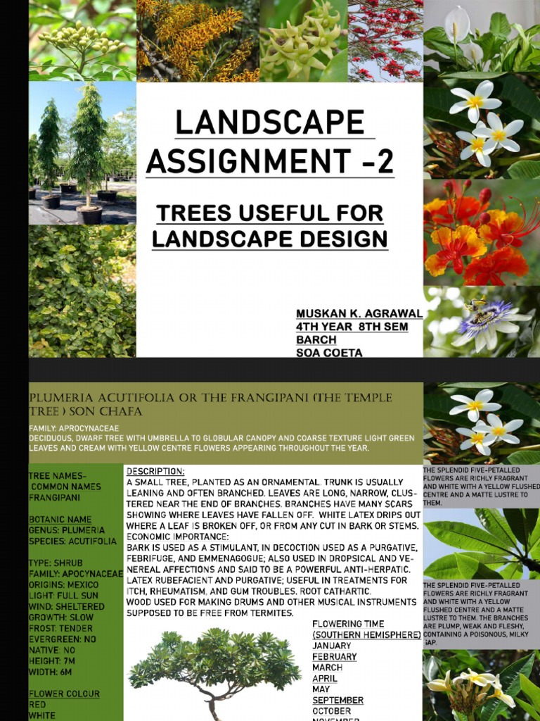 Landscape Assignment 2 PDF | PDF | Trees | Plants