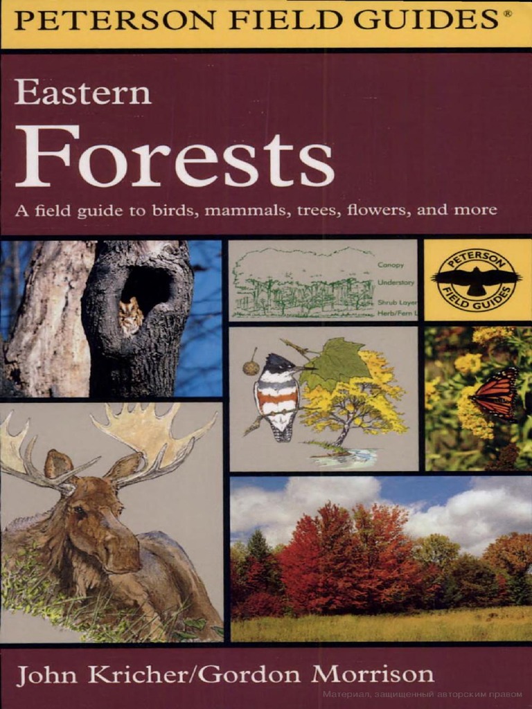 Field Guide To Eastern Forests North America PDF | PDF