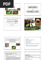 Axolotl Taxonomy | PDF
