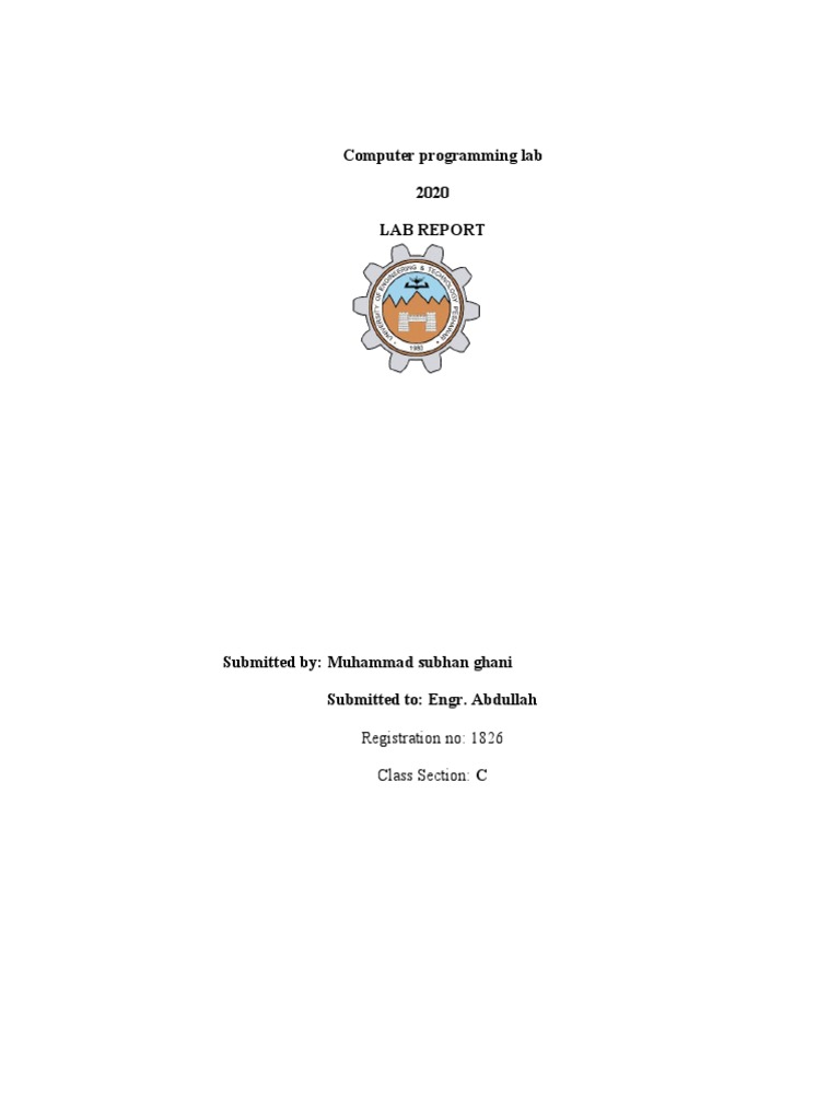 Computer Programming Lab 5 | PDF | Computer Engineering | Software ...