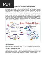 Anaplerosis and Cataplerosis in TCA Cycle | PDF | Diet & Nutrition ...
