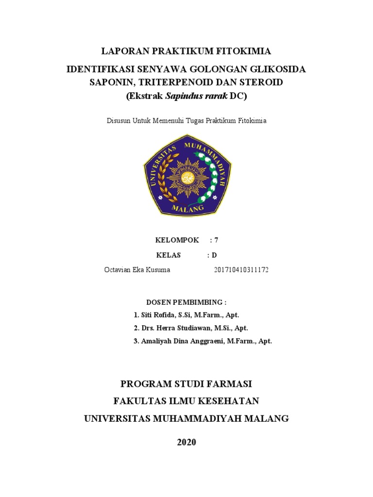 Laporan Praktikum Fitokimia Tugas 2 Saponin | PDF