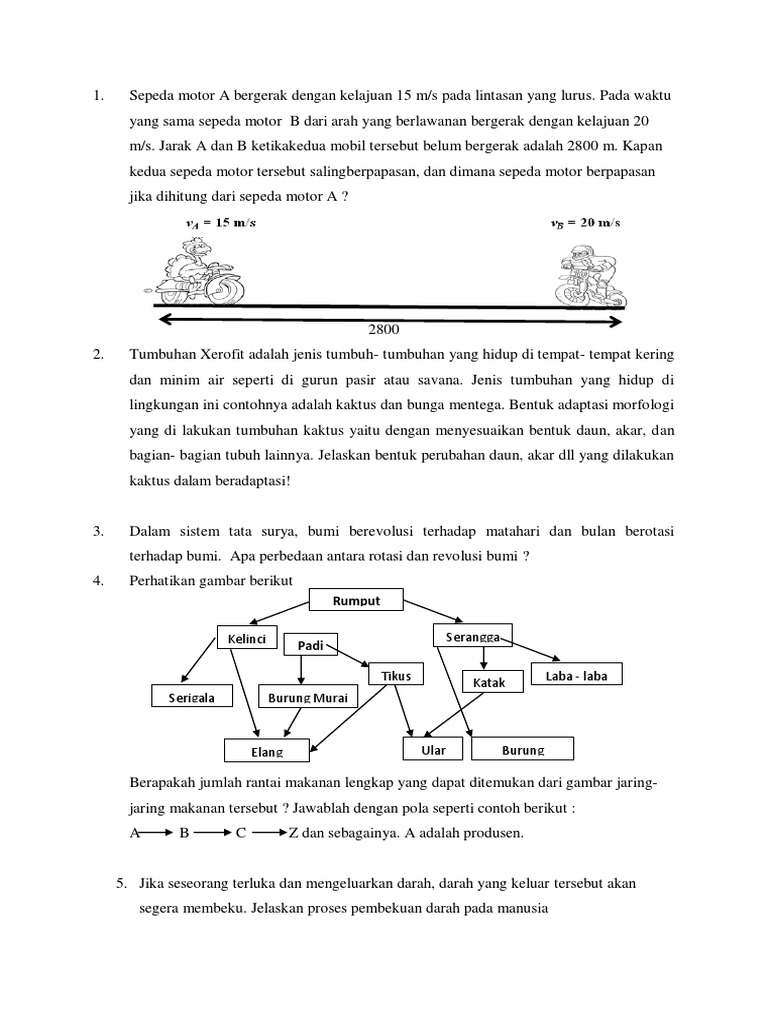 Pembahasan Olim Ipa SD Maret 2020 | PDF