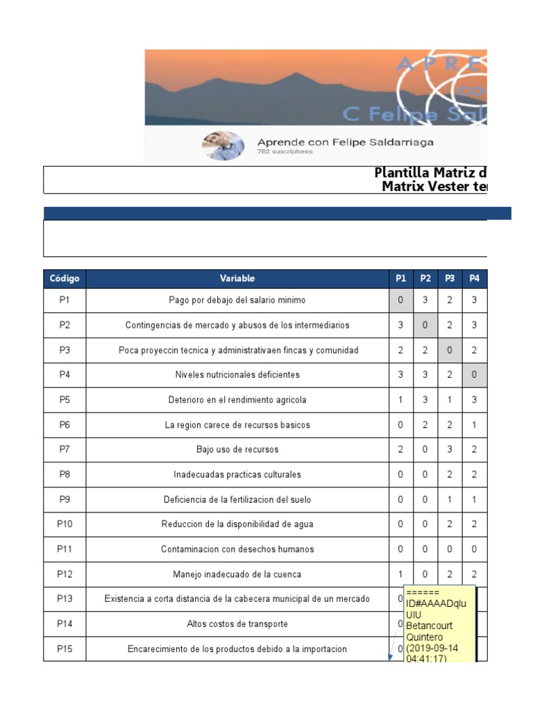 Ejercicio Resuelto Matriz de Vester | PDF | Economias | Business