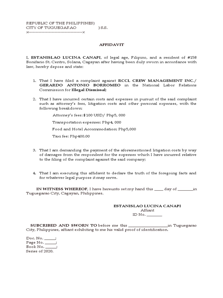 Affidavit To Claim Litigation Expenses | PDF