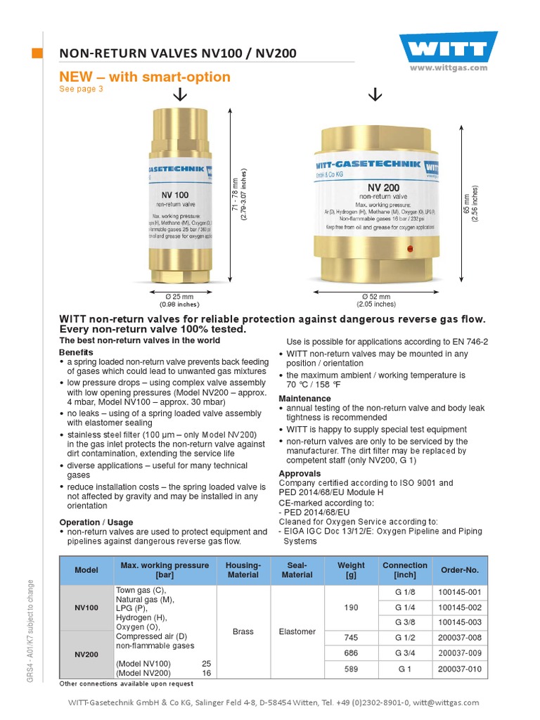 Non Return Valve Nv100 200 Uk | PDF | Valve | Gases