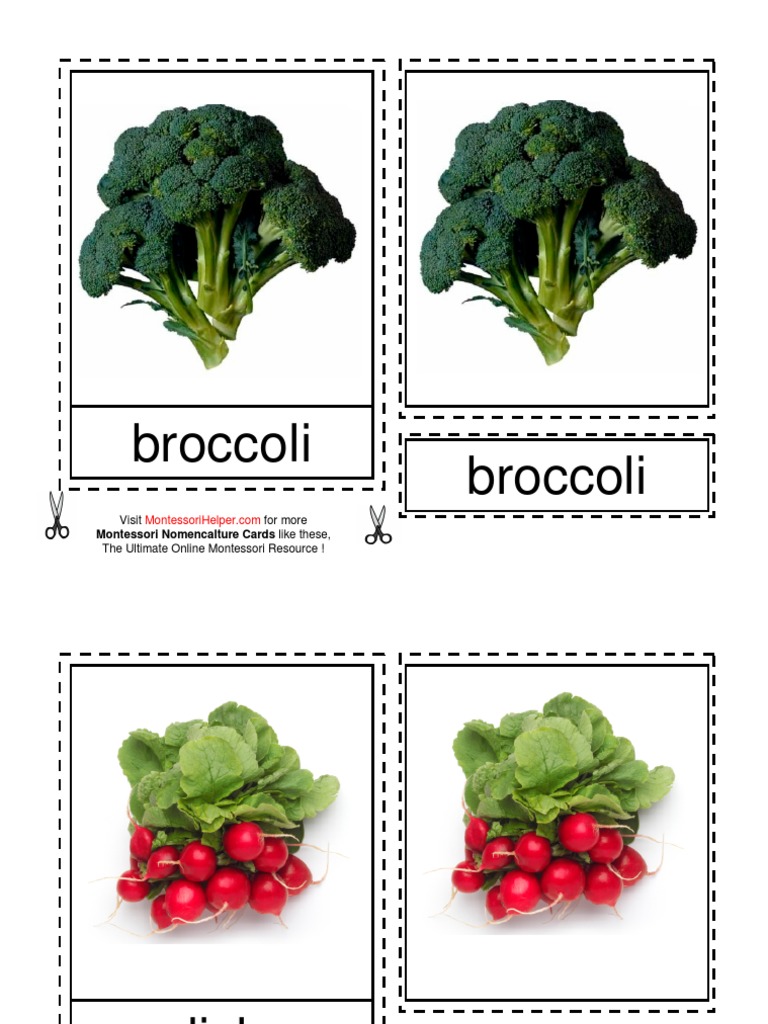 Broccoli Broccoli: Visit For More The Ultimate Online Montessori ...