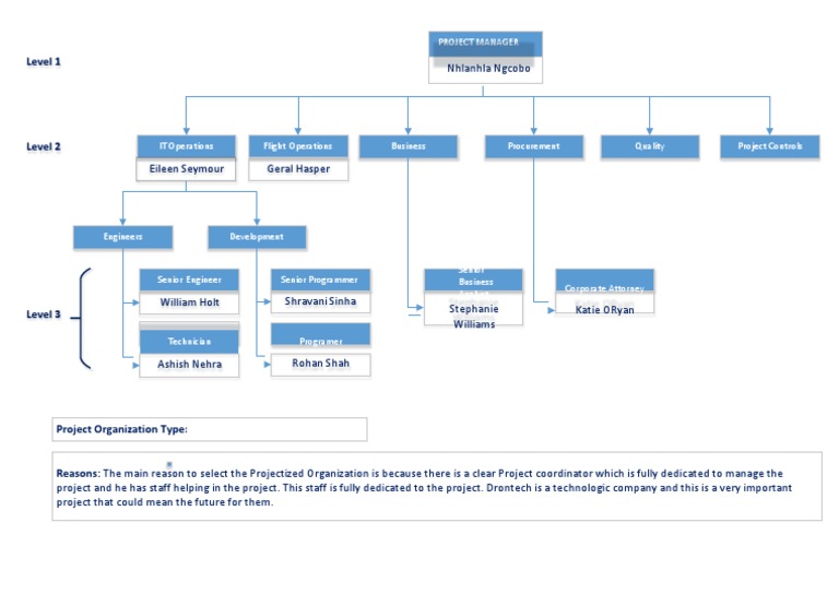 NHLANHLA NGCOBO DroneTech Engineering Organization Chart | PDF