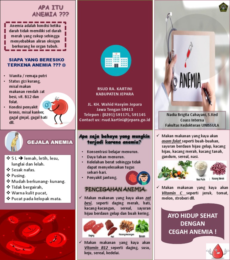 Nadia Brigita - Leaflet Anemia | PDF
