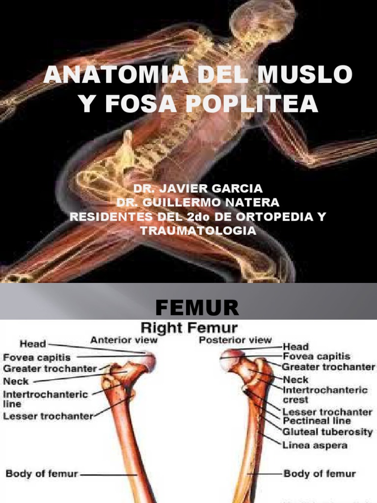 Anatomía de la Fosa Poplítea | PDF | Rodilla | Articulaciones