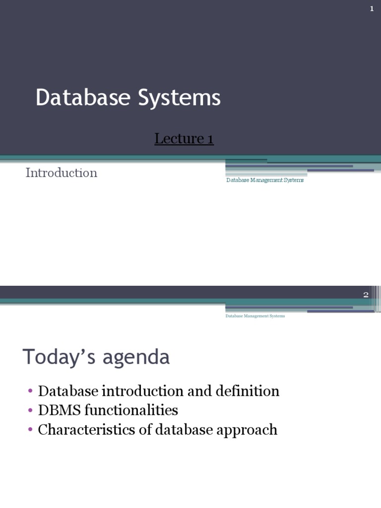 Database Management Systems | PDF | Data Model | Databases