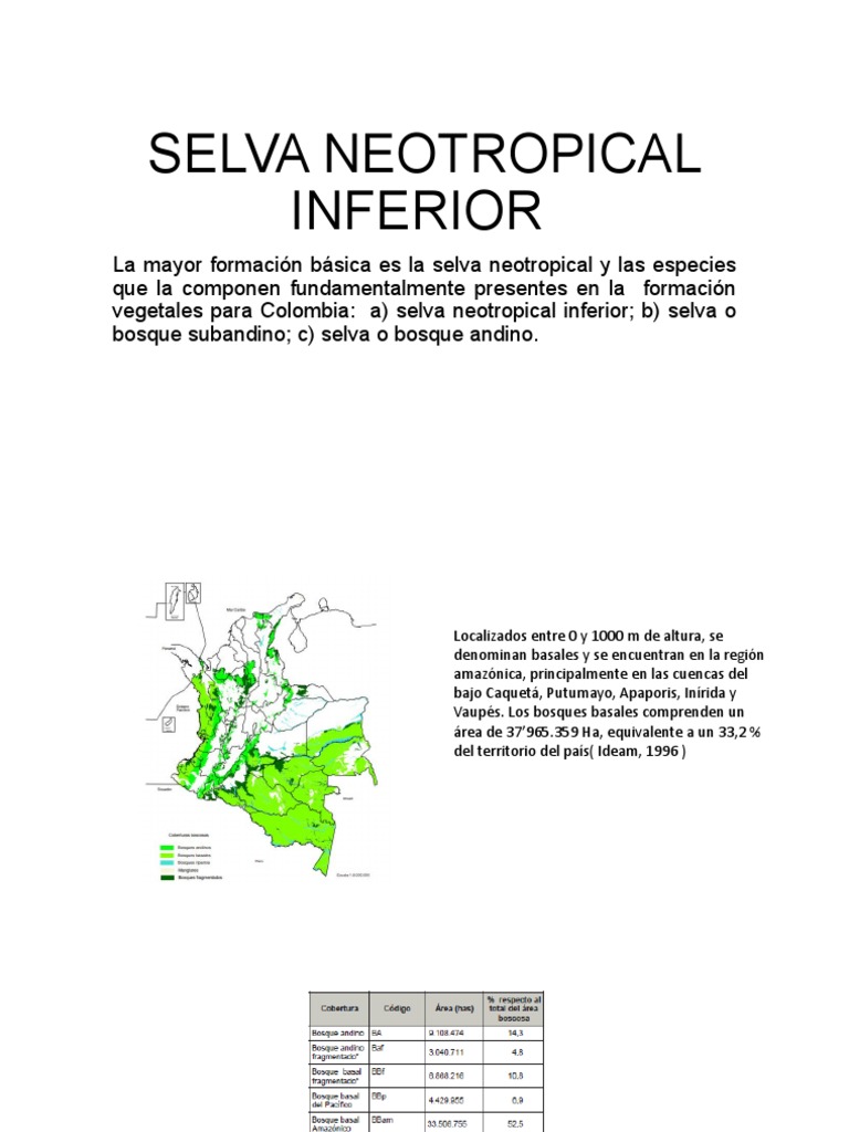 Selva Neotropical Inferior | PDF