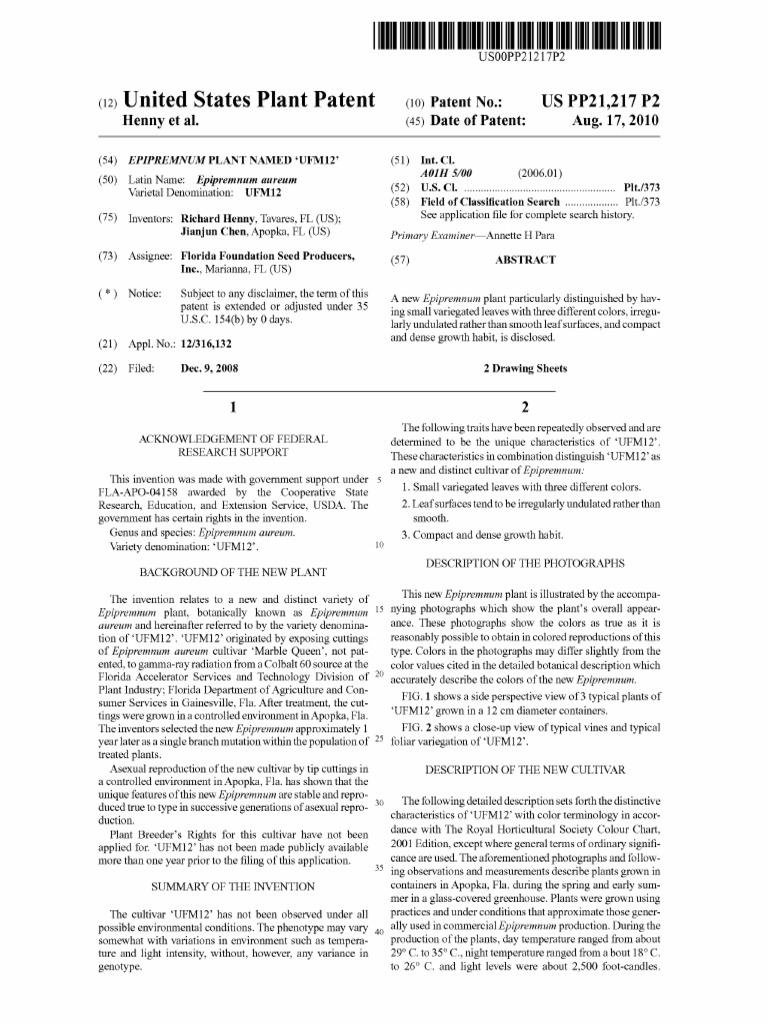 United States Plant Patent: Henny Et Al | PDF | Leaf | Cultivar