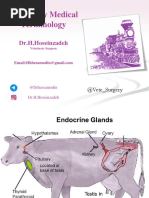 Swine Blood Collection Guide | PDF | Vein | Syringe