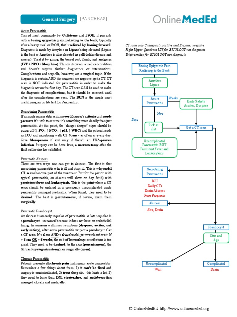 Pancreas | PDF | Digestive System | Digestive Diseases