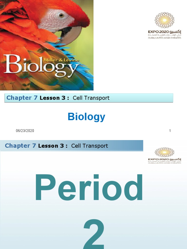 Biology: Lesson 3: Cell Transport Lesson 3: Cell Transport | PDF | Cell ...