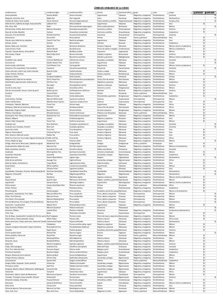 Árboles Urbanos de La CDMX | PDF | Flora | Forma de vida vegetal