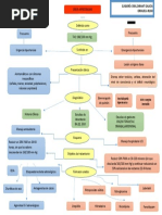 Shock Distributivo | PDF | Septicemia | Fisiología