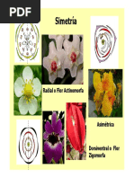 Cap. IV - 6. Simetria-Diagrama-Formula | PDF