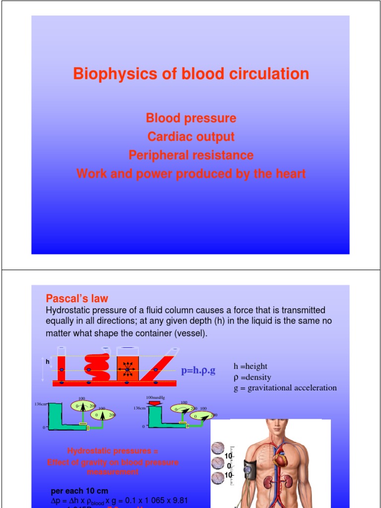 Biophysics of Blood Circulation: Blood Pressure Cardiac Output ...