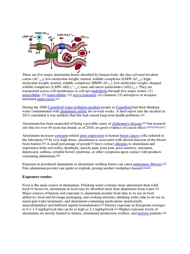 Endothelia Paracellular Transcellular Active Transport Endocytosis ...