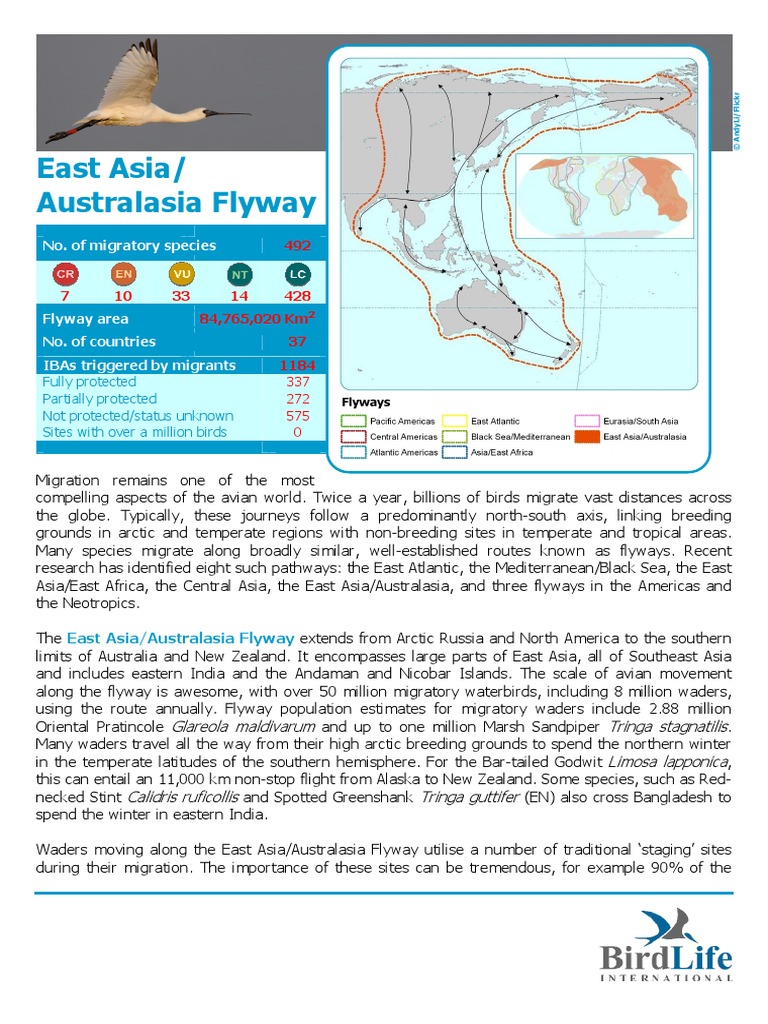East Asia/ Australasia Flyway: No. of Migratory Species | PDF | Bird ...