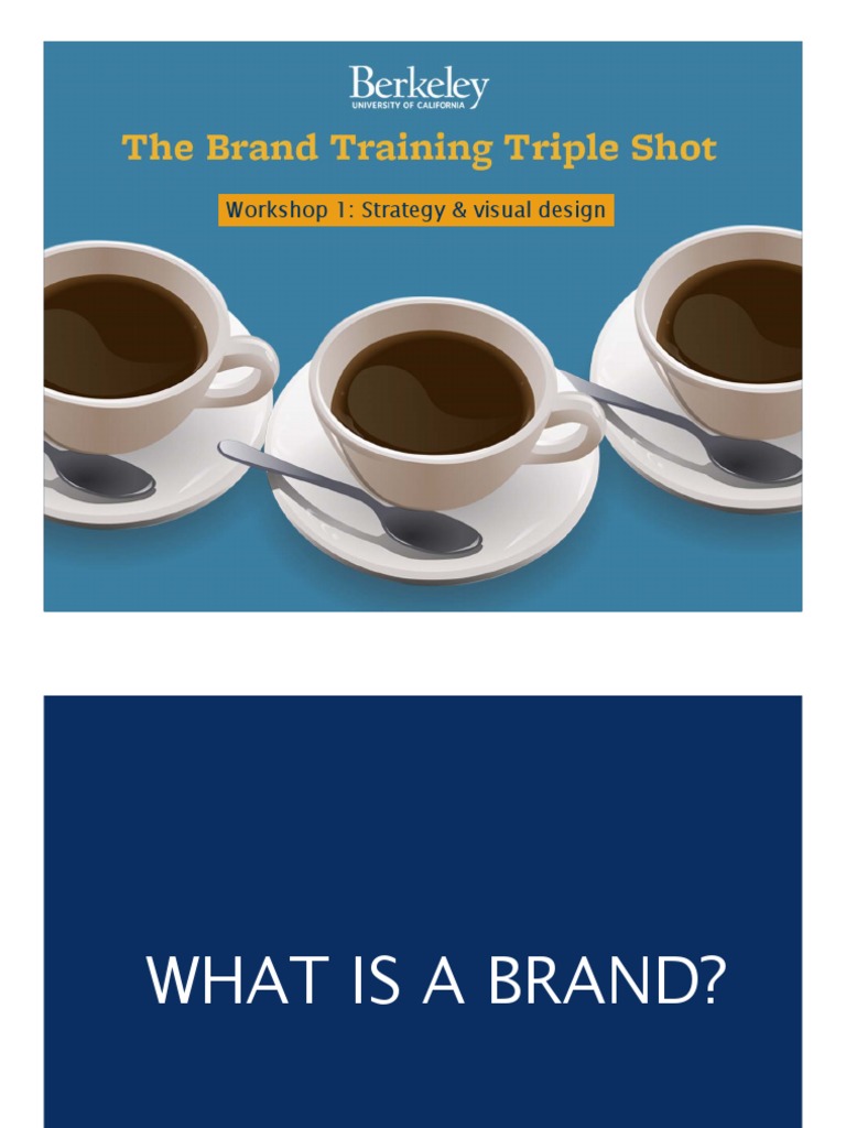 Brand Training Strategy Design | PDF | Ageing | Science