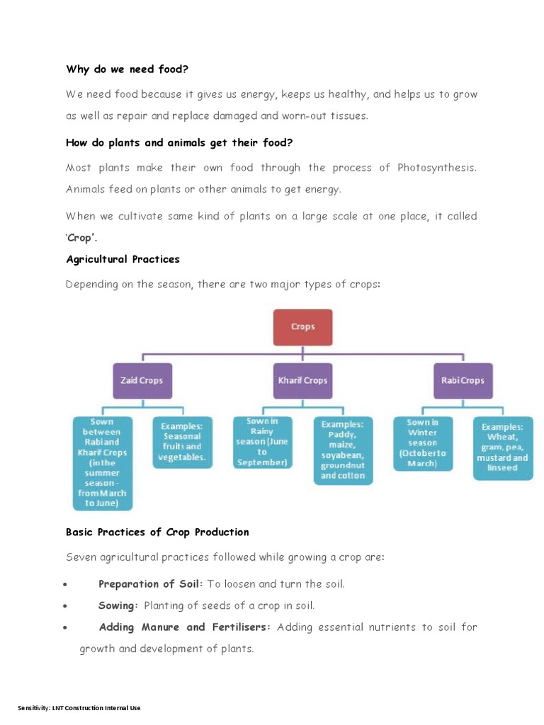 Why Do We Need Food? | PDF | Manure | Soil