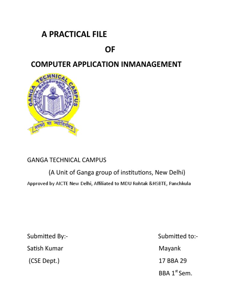 A Practical File OF: Computer Application Inmanagement | PDF