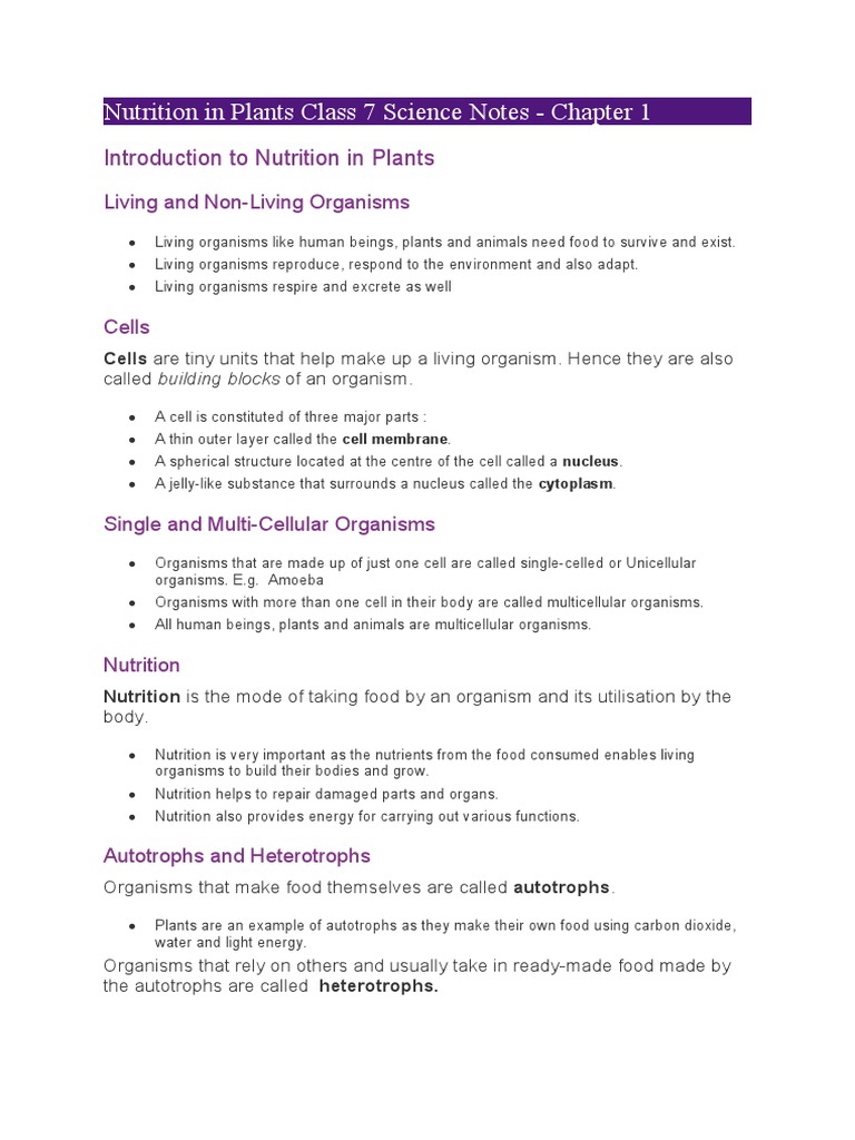 Nutrition In Plants Class 7 Science Modes Of Nutrition NCERT Exemplar