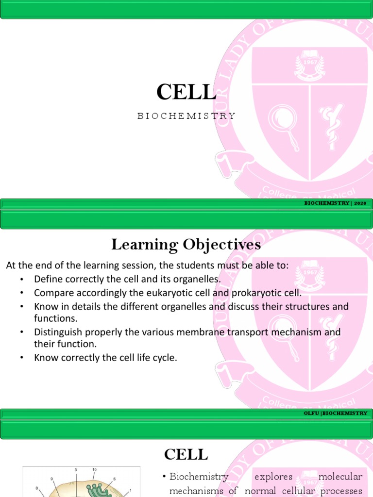 Cell | PDF | Cell (Biology) | Cell Membrane