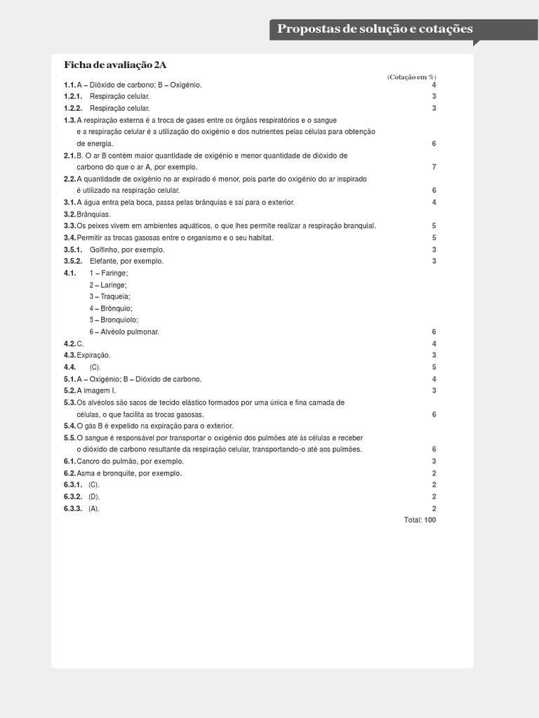 tv6 Fichaavaliacao 2a Sol | PDF | Respiração | Respiração