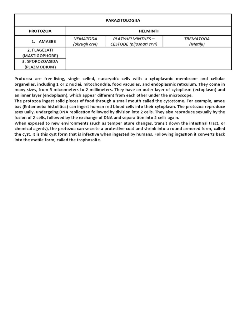 Parazitologija Protozoa Helminti: Nematoda (Okrugli Crvi ...