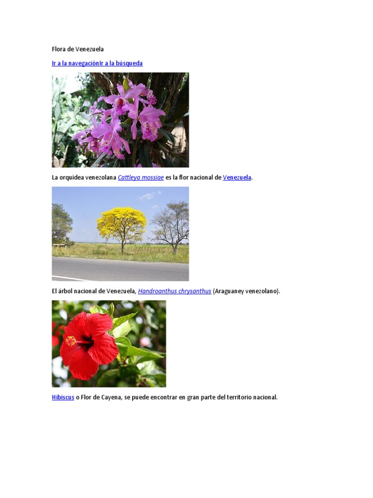 Flora de Venezuela | PDF | Selva | Zona tropical