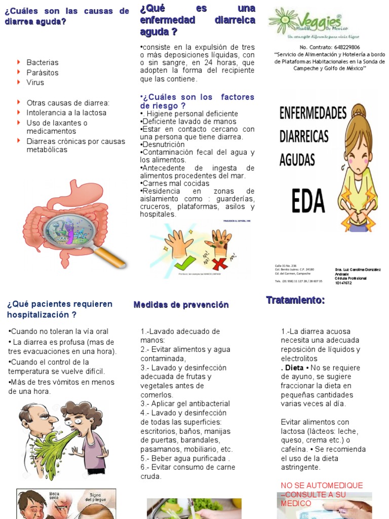 Triptico Edas | PDF | Diarrea | Heces