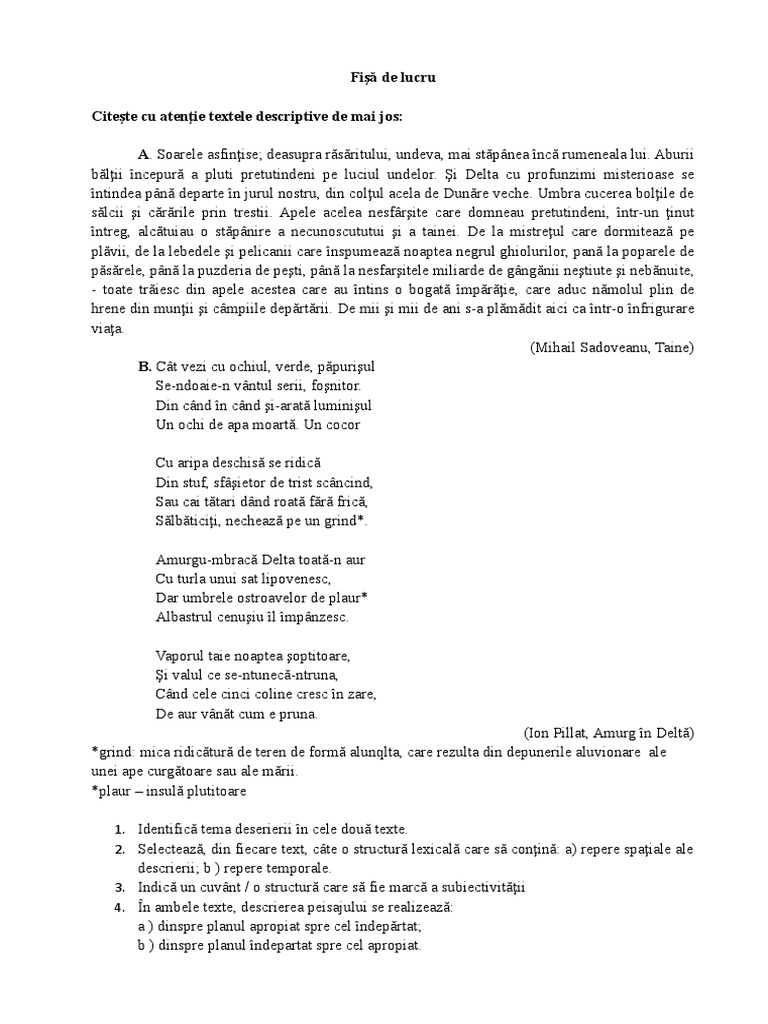 Descrierea de Tip Tablou | PDF