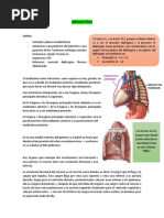Función y Ubicación del Plexo Cardíaco | PDF