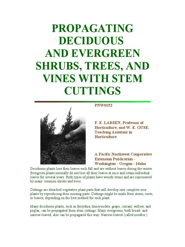 Propagating Deciduous And Evergreen Shrubs Trees And Vines With Stem