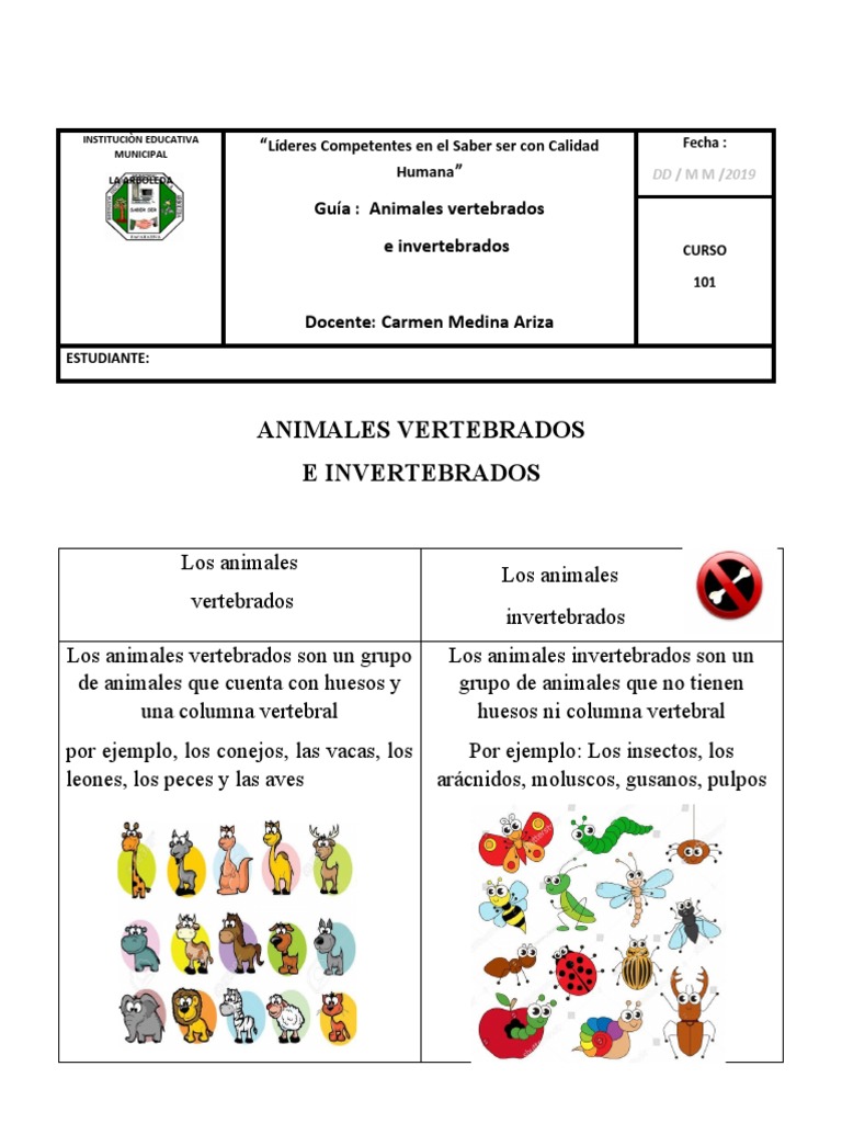 Actividad Animales Vertebrados e Invertebrados | PDF