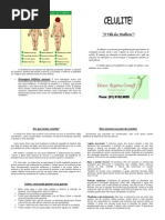 Protocolo Tratamento de Celulite, Gordura Localizada e Flacidez | PDF