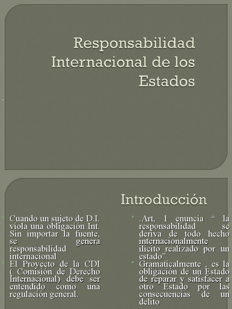Derecho Internacional Responsabilidad Internacional De Los Estados