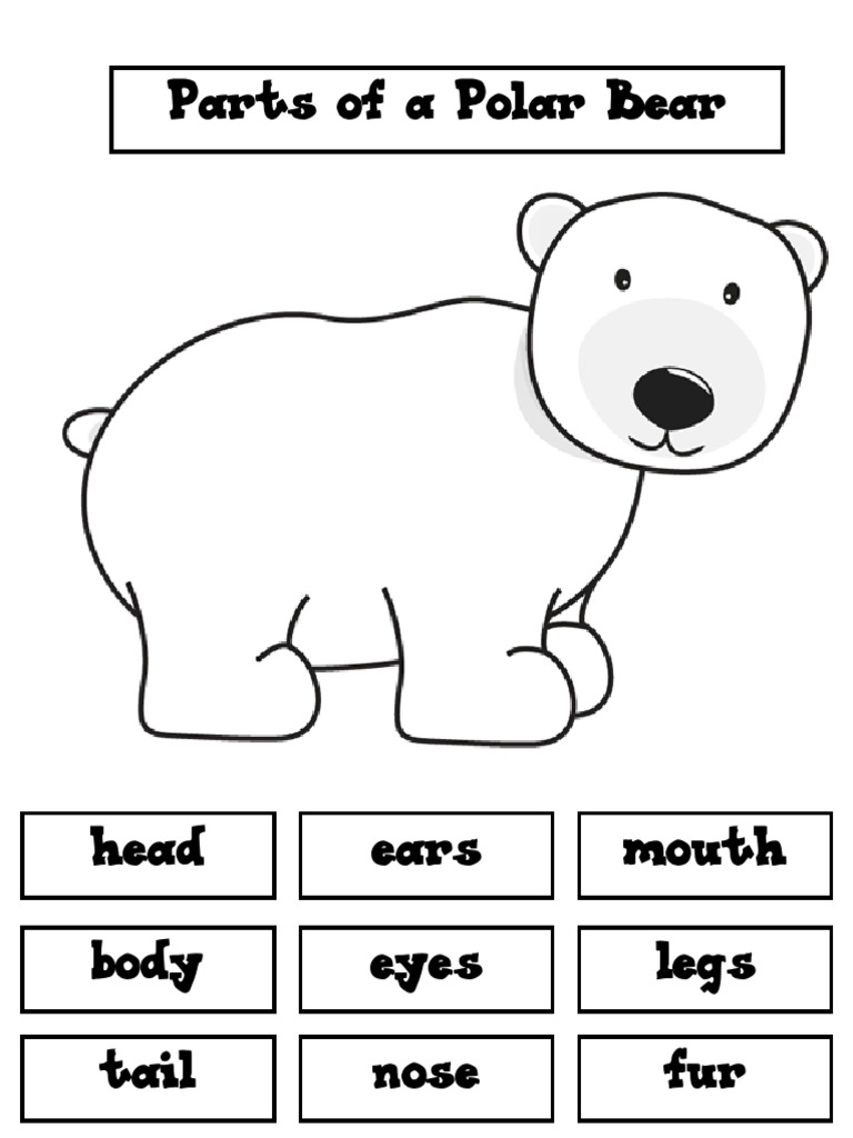 Polar Bear Label Body Parts | PDF