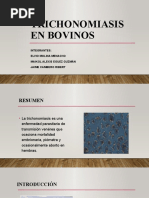 Prospecto NIFURYL | PDF | Infección del tracto urinario ...