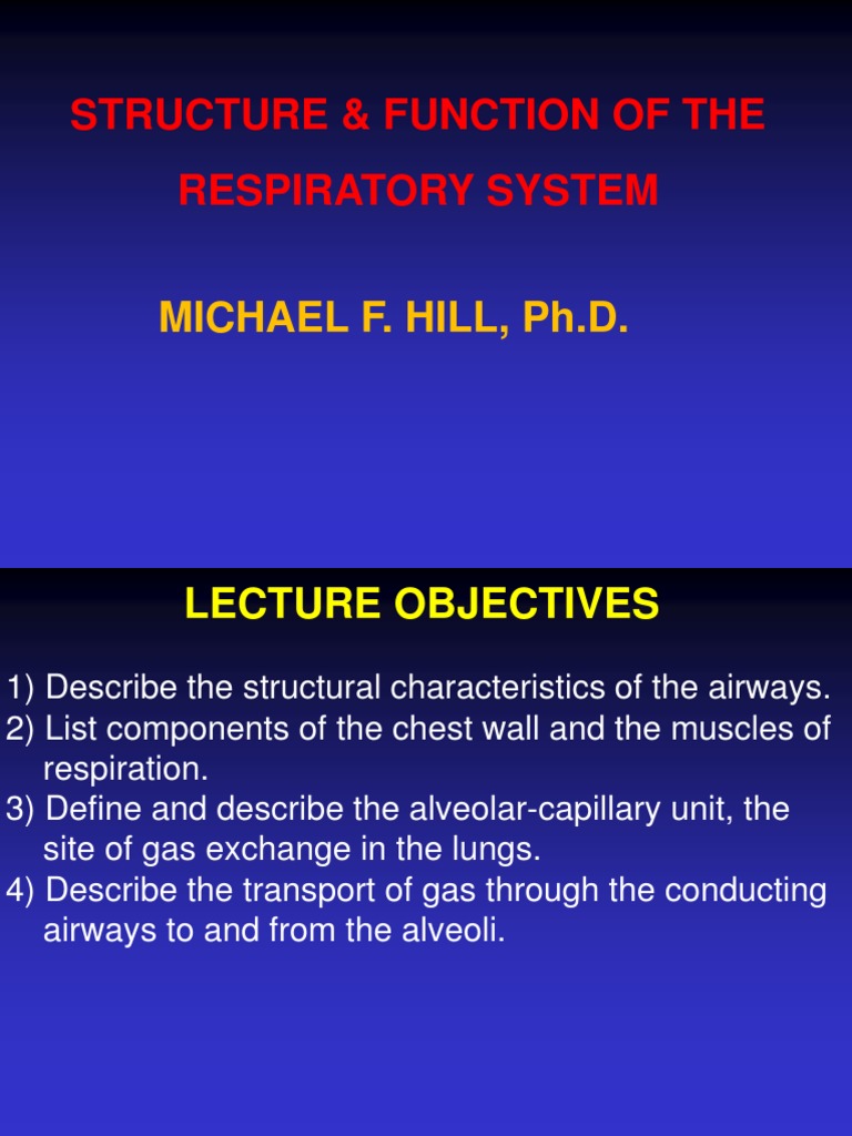 M. Hill Physiology (20) STRUCTURE AND FUNCTION OF THE RESPIRATORY ...