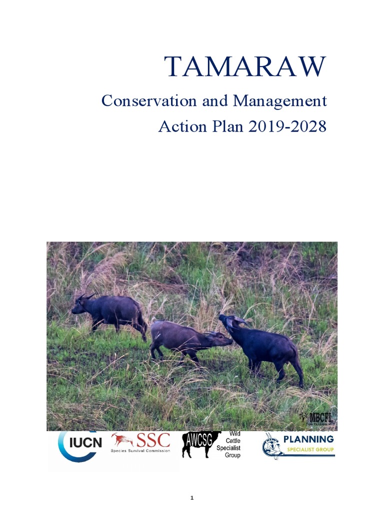Tamaraw Conservation Action Plan 2019-2028 | PDF | International Union ...
