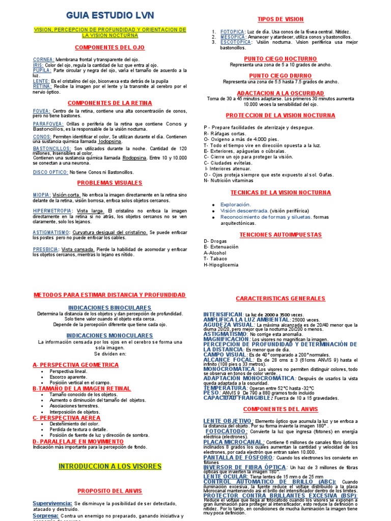 Guia Estudio LVN: Tipos de Vision | PDF | Ojo humano | Percepción visual