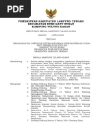 Contoh SK OPERATOR SIKS-NG (Desa Kel) | PDF