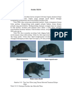 Jenis dan Cara Kerja Rodentisida | PDF