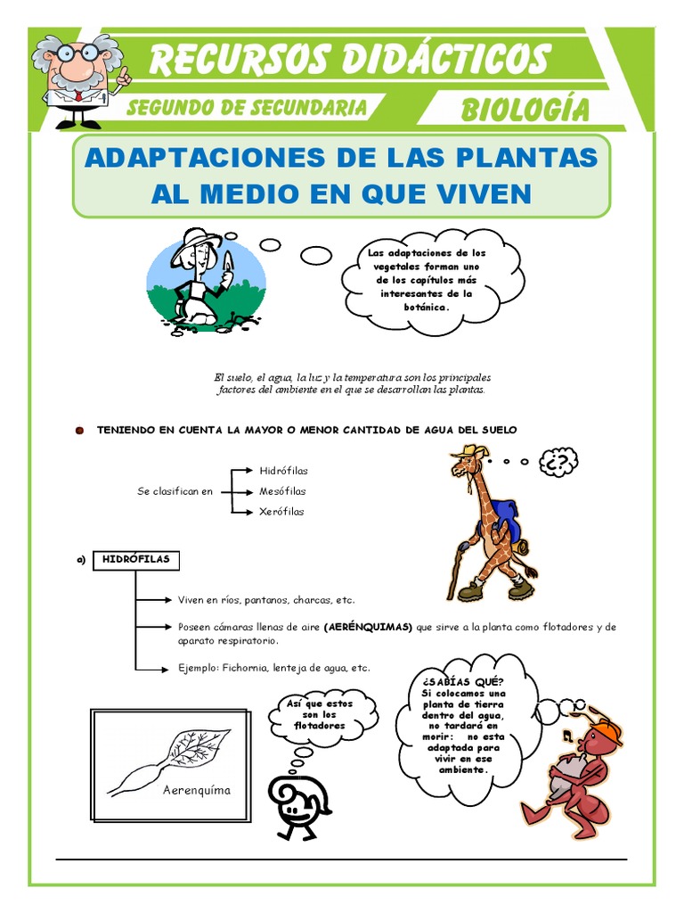 Adaptaciones de Las Plantas para Segundo de Secundaria | PDF | Plantas ...