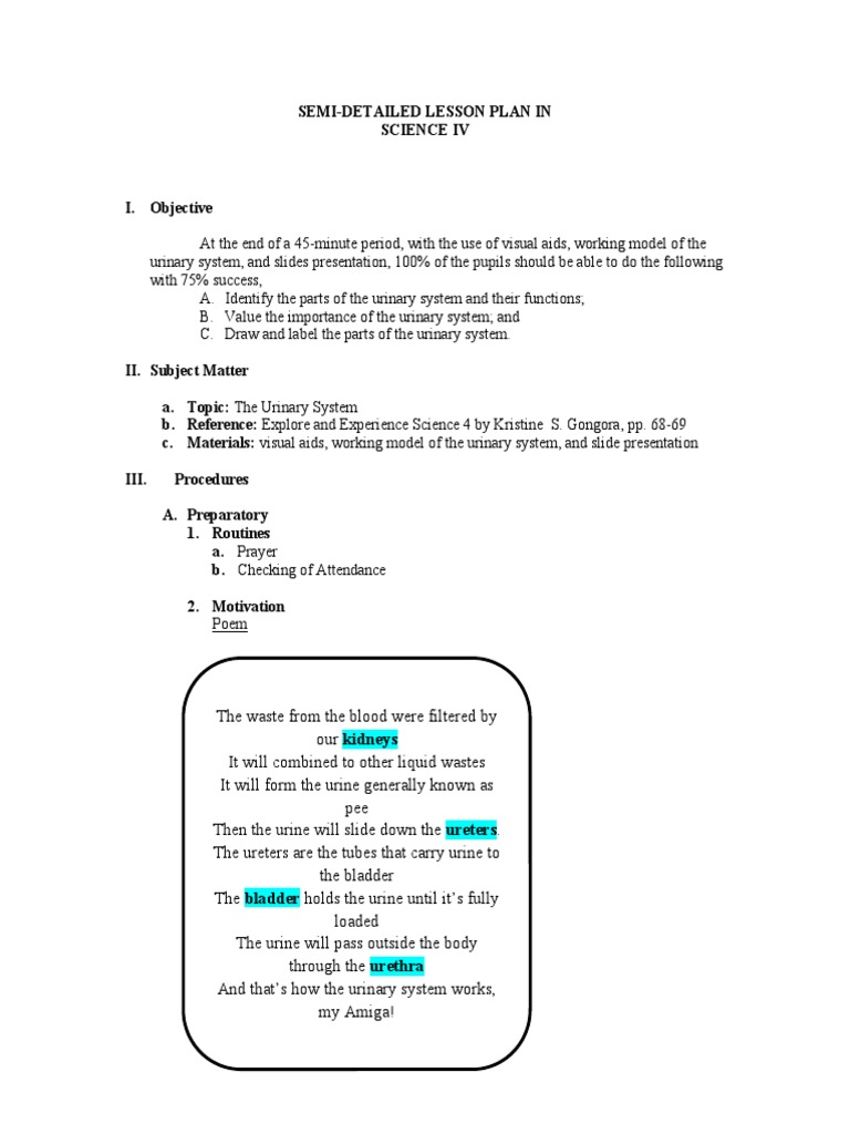 Urinary System Lesson Plan for Kids | PDF | Urinary System | Urinary ...